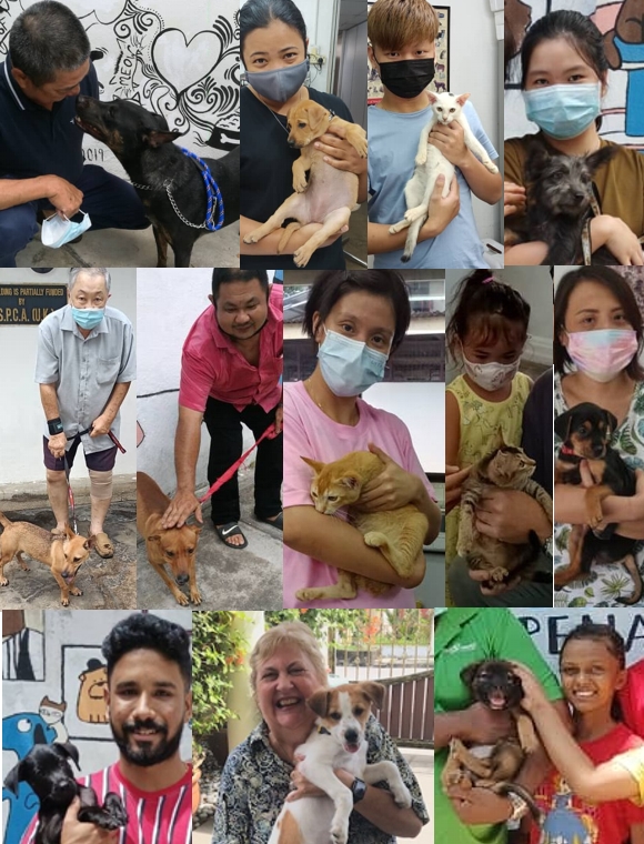 Luna, the pup which came in with very unhealthy skin condition was ...